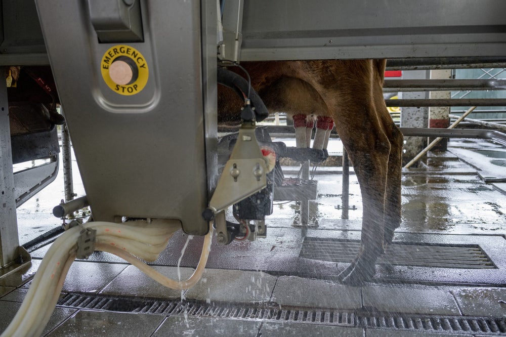 Foodtech startup NotCo just became a unicorn and Chile’s dairy farmers ...