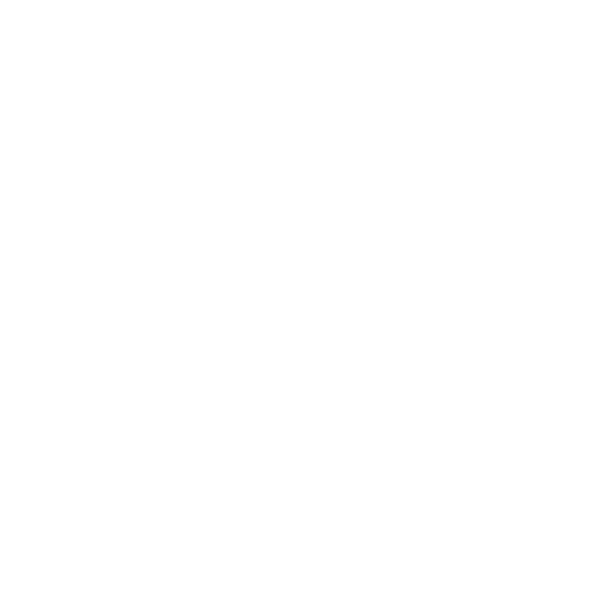 Chris Xu - CEO at Shein - Rest of World