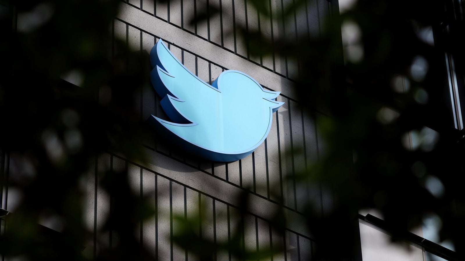 Twitter’s lax moderation rules help a fascist brand in Mexico grow ...