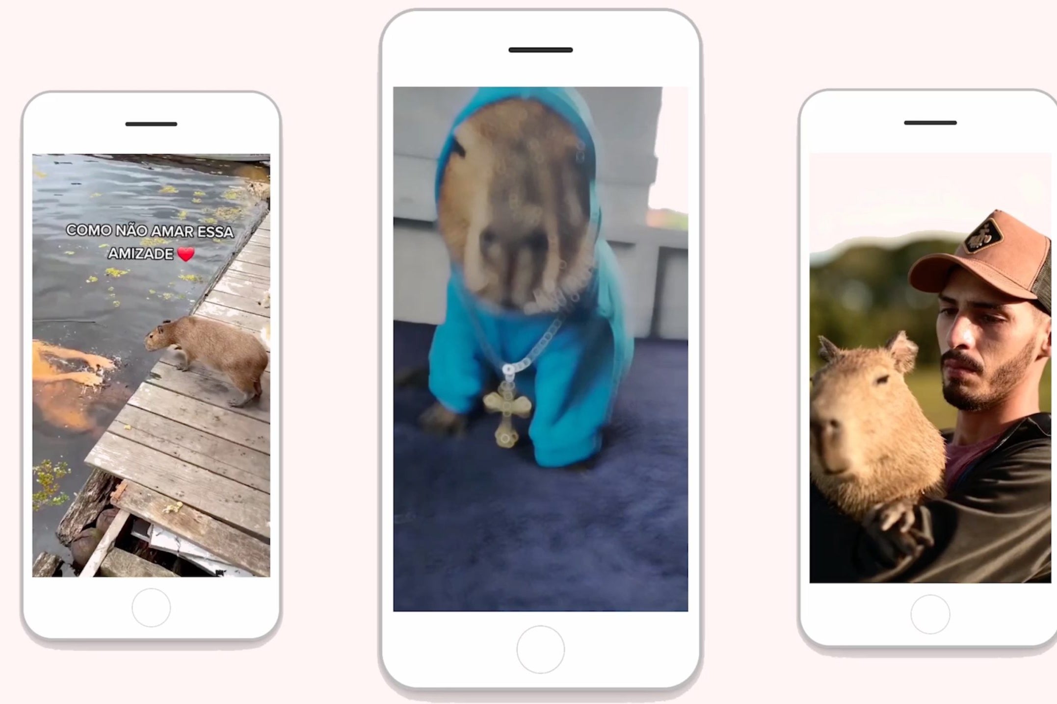 Authorities confiscated a Brazilian wildlife influencer’s capybara ...