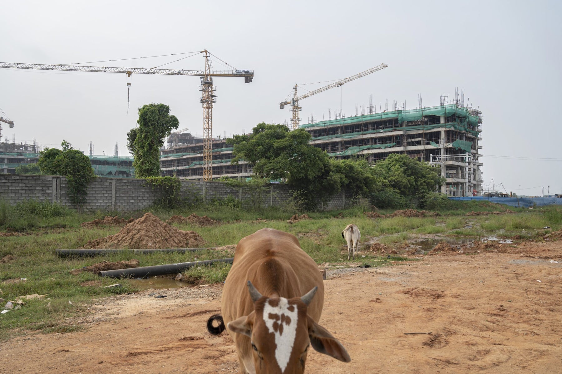 Inside Foxconn’s India iPhone factory expansion - Rest of World