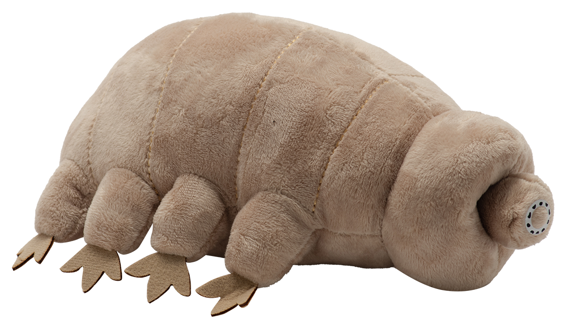 Temu reviews quiz: We tested 17 viral products - Rest of World