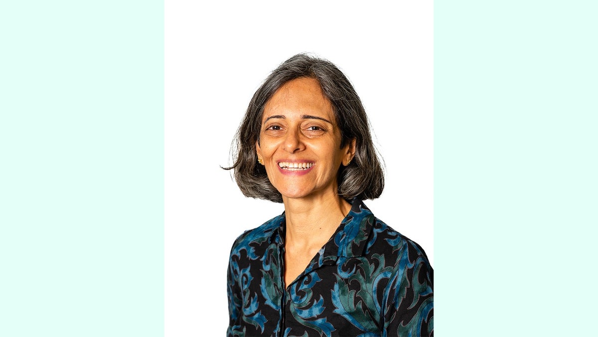 Rina Chandran joins Rest of World as Southeast Asia Editor - Rest of World