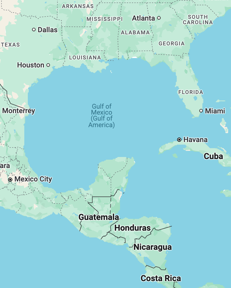 Gulf of Mexico or Gulf of America: How digital maps decide - Rest of World