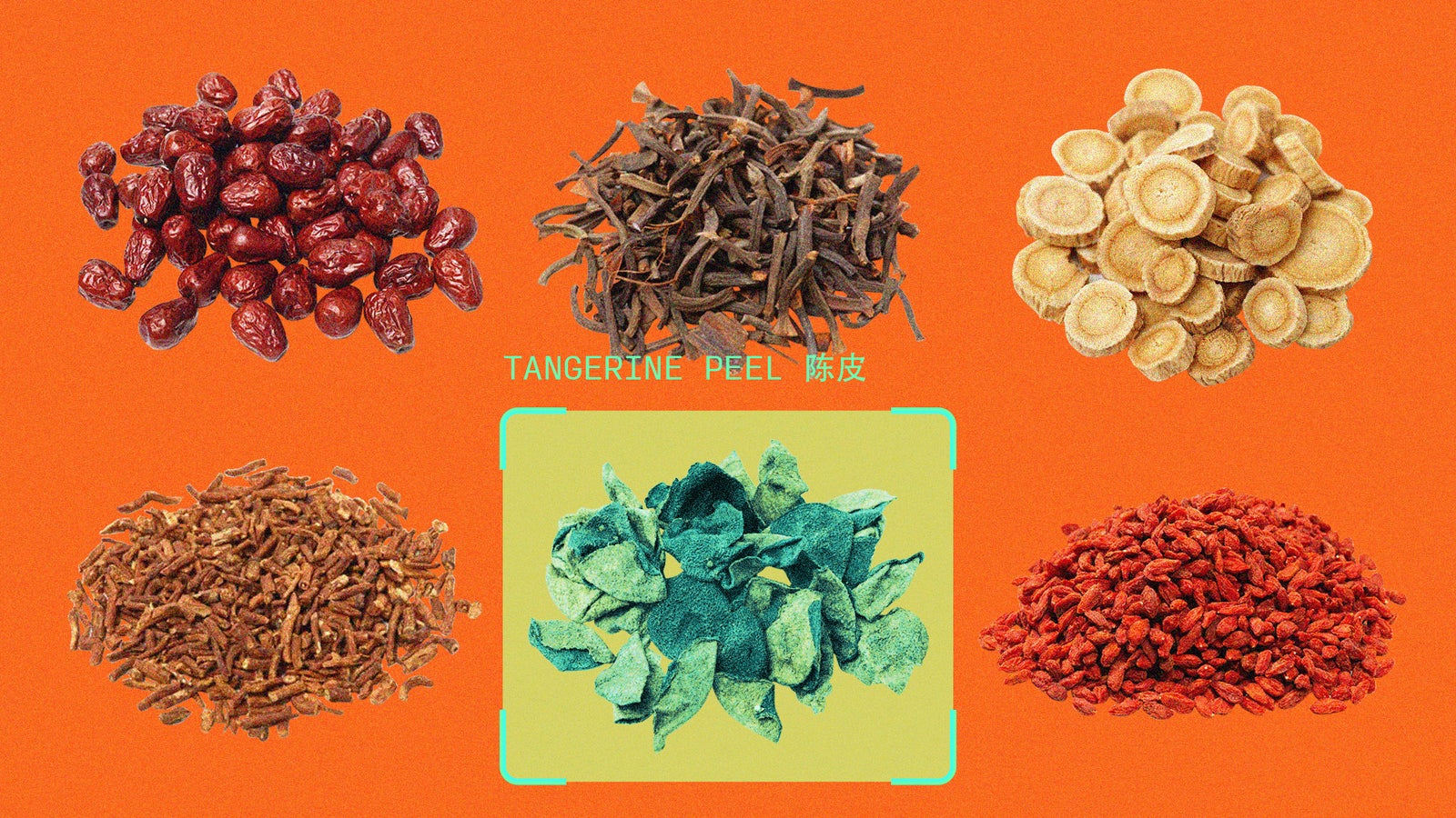 Traditional Chinese medicine embraces AI in China - Rest of World