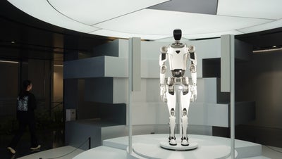 China leads the robot race — but the Tesla still has a shot - Rest of World