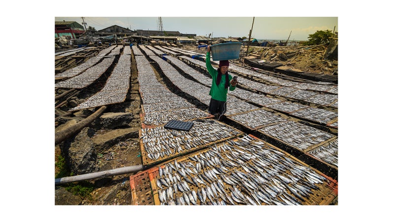 Winners of the 2026 Photo Contest - Rest of World